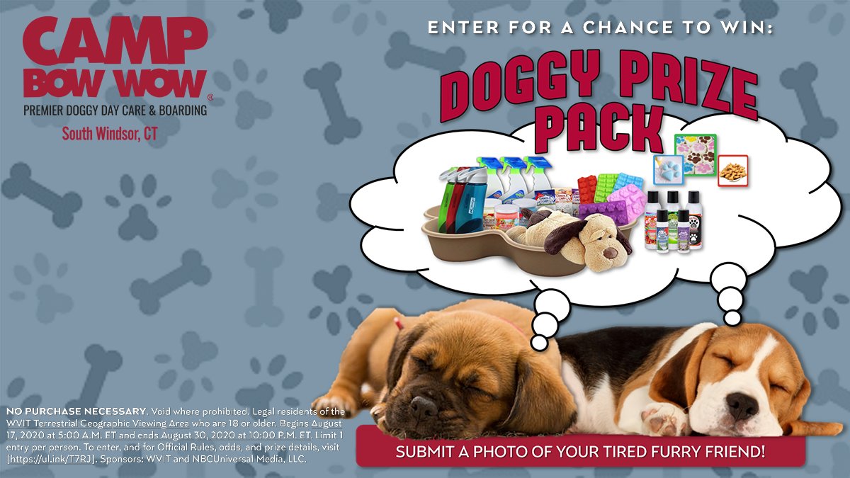 I just entered for a chance to win a Doggy Prize Pack!