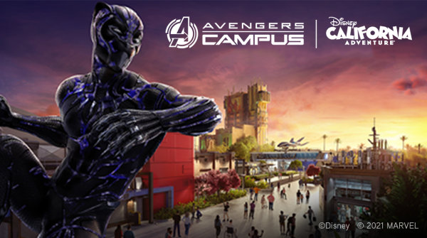 Z100 Portland Contests | Tickets, Trips & More