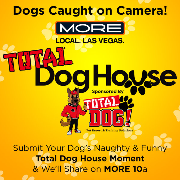 Total Dog House Moment