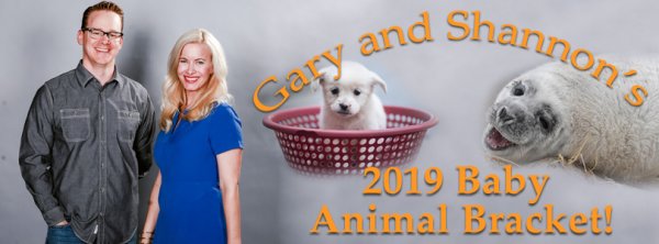 Make Your Picks for Gary and Shannon's Baby Animal Bracket! | KFI AM 640