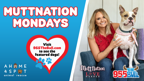 95.5 The Bull Contests | Tickets, Trips & More